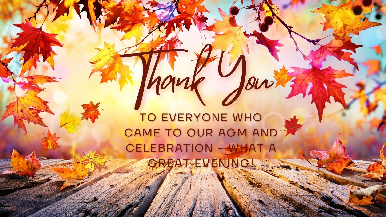 Thank You - Arts Network Sutton