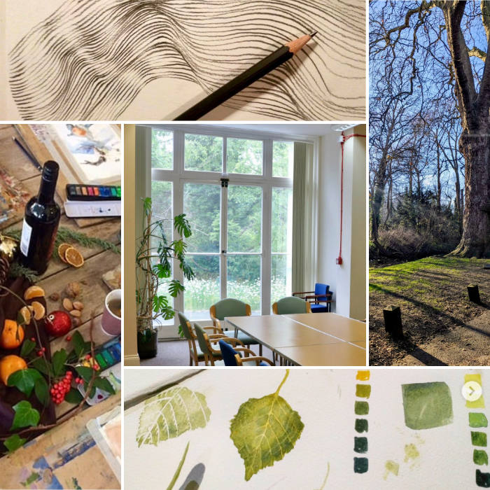 Mindful Drawing from Nature - Arts Network Sutton