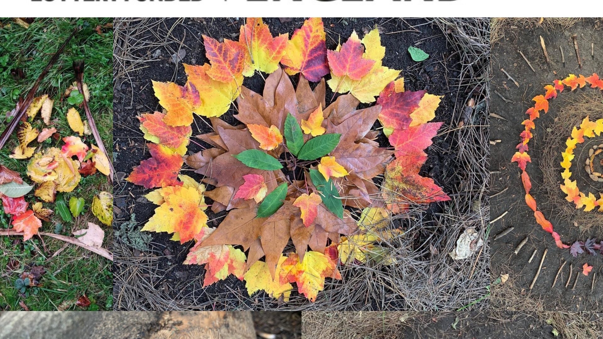 Art in the Woods - Arts Network Sutton